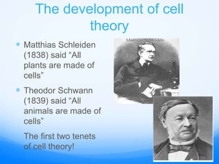 Cell Theory | PPTX