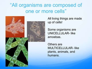 Cell Theory | PPTX