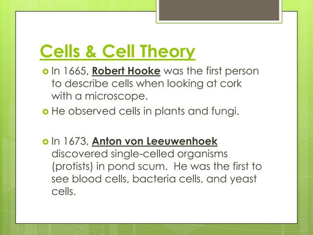 Cell theory | PPT