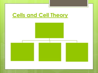 Cell theory | PPTX