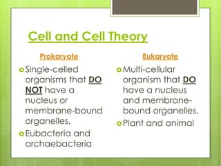Cell theory | PPTX | Biological Sciences | Science