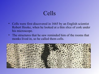 Cell theory | PPT