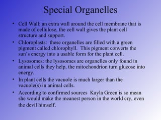 Cell theory | PPT