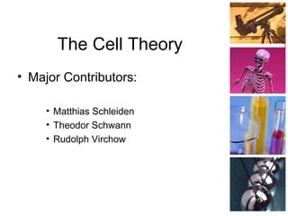 Cell Theory - Early History | PPT | Biological Sciences | Science