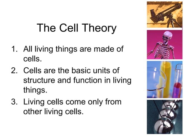Cell Theory - Early History | PPT | Biological Sciences | Science