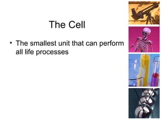 Cell Theory - Early History | PPT