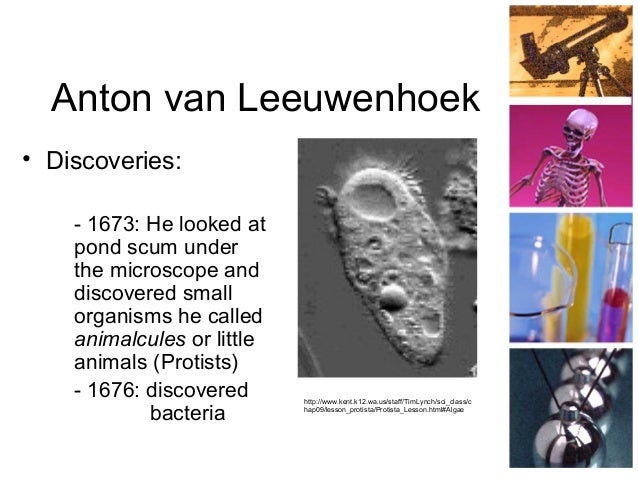 Cell Theory - Early History