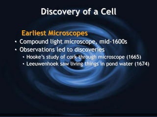 introduction to Celltheory | PPT