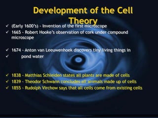 introduction to Celltheory | PPT