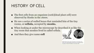 Cell theory | PPTX