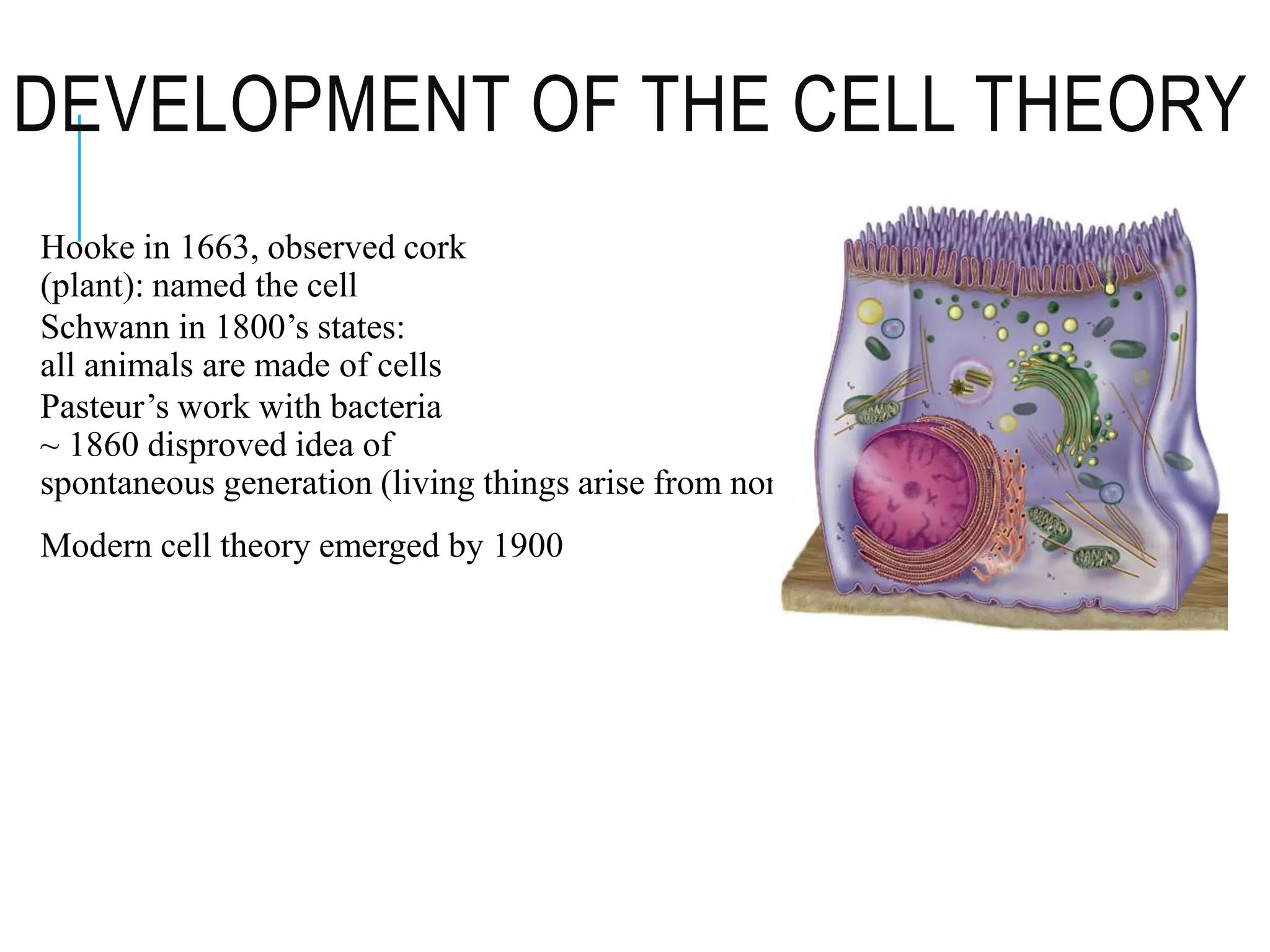 Cell theory | PPTX