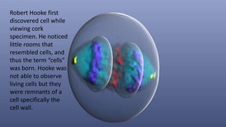 Cell theory | PPT
