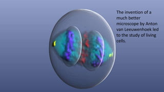Cell theory | PPT