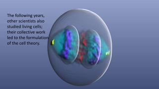 Cell theory | PPT