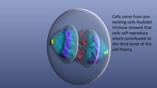 Cell theory | PPT