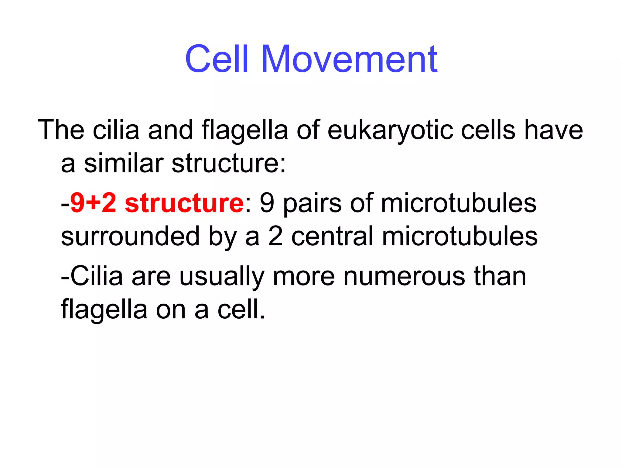 Additional Notes: Cell theory | PPT