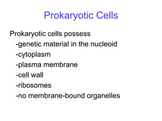 Additional Notes: Cell theory | PPT