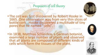 cell theory.pptx