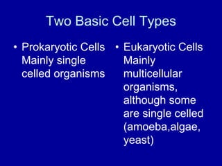 cell theory.ppt