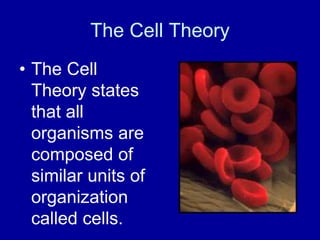 cell theory.ppt