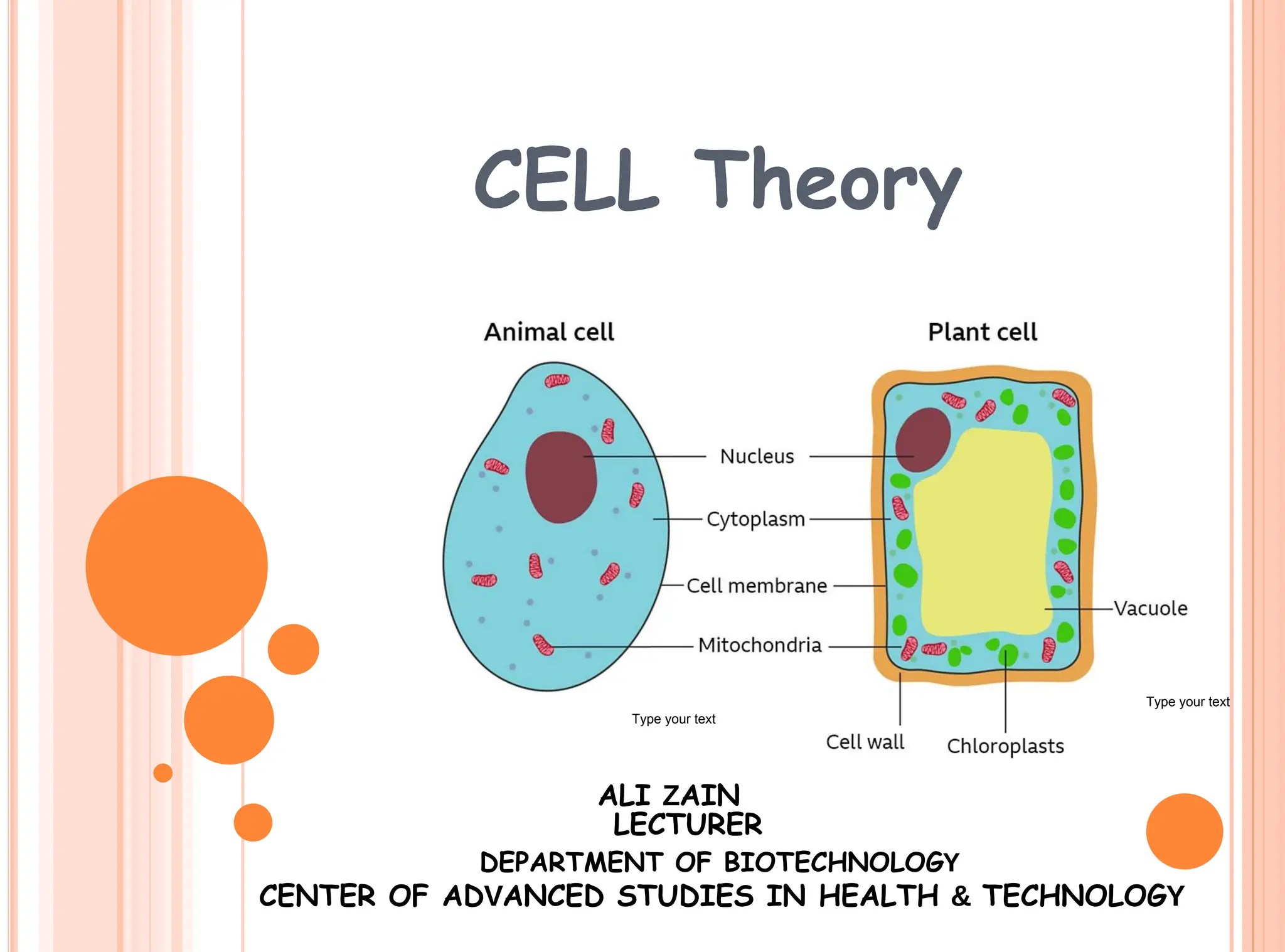 Cell Theory.pdf