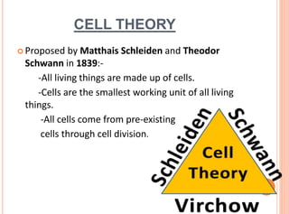 Cell Theory.pdf
