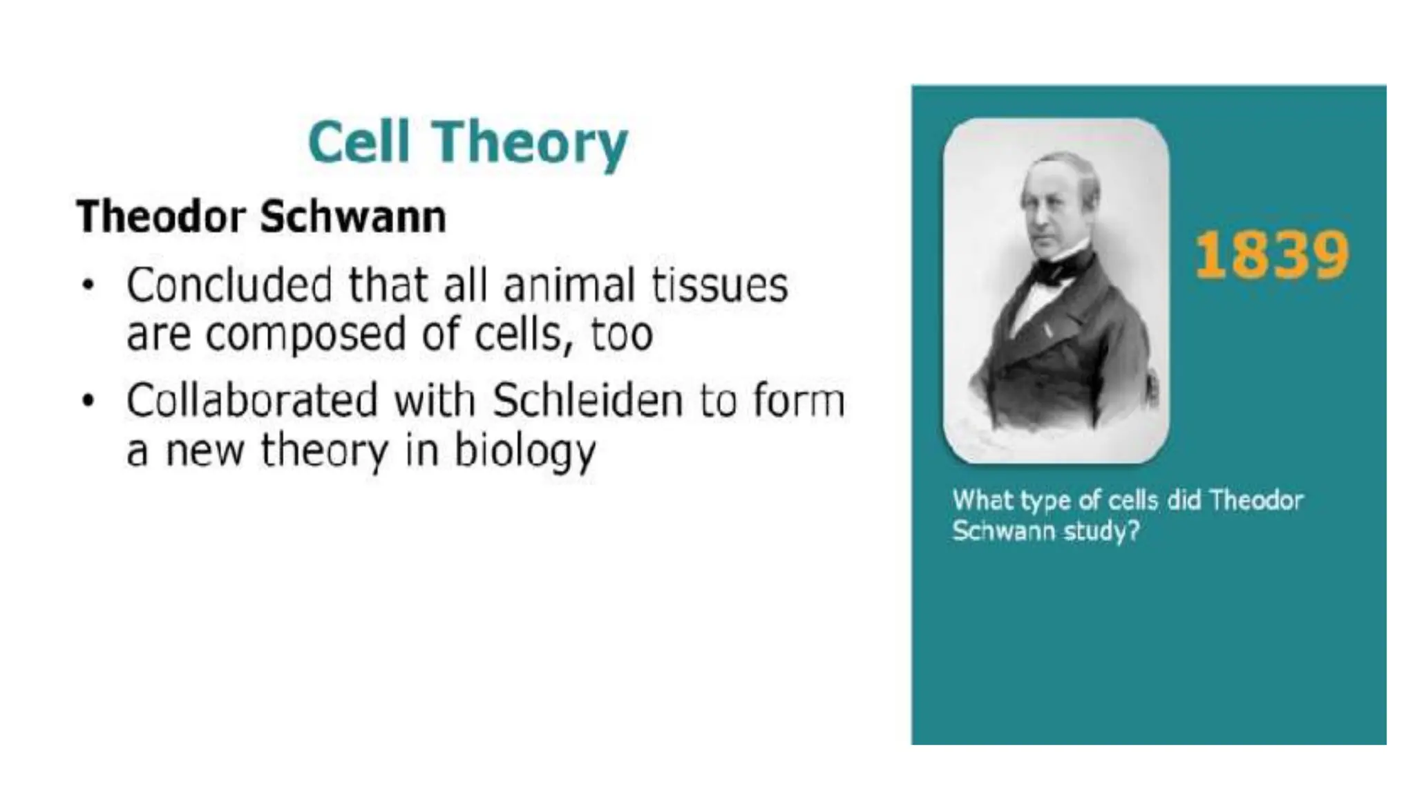 Cell theory how does the cell came from? nd what are the different ...