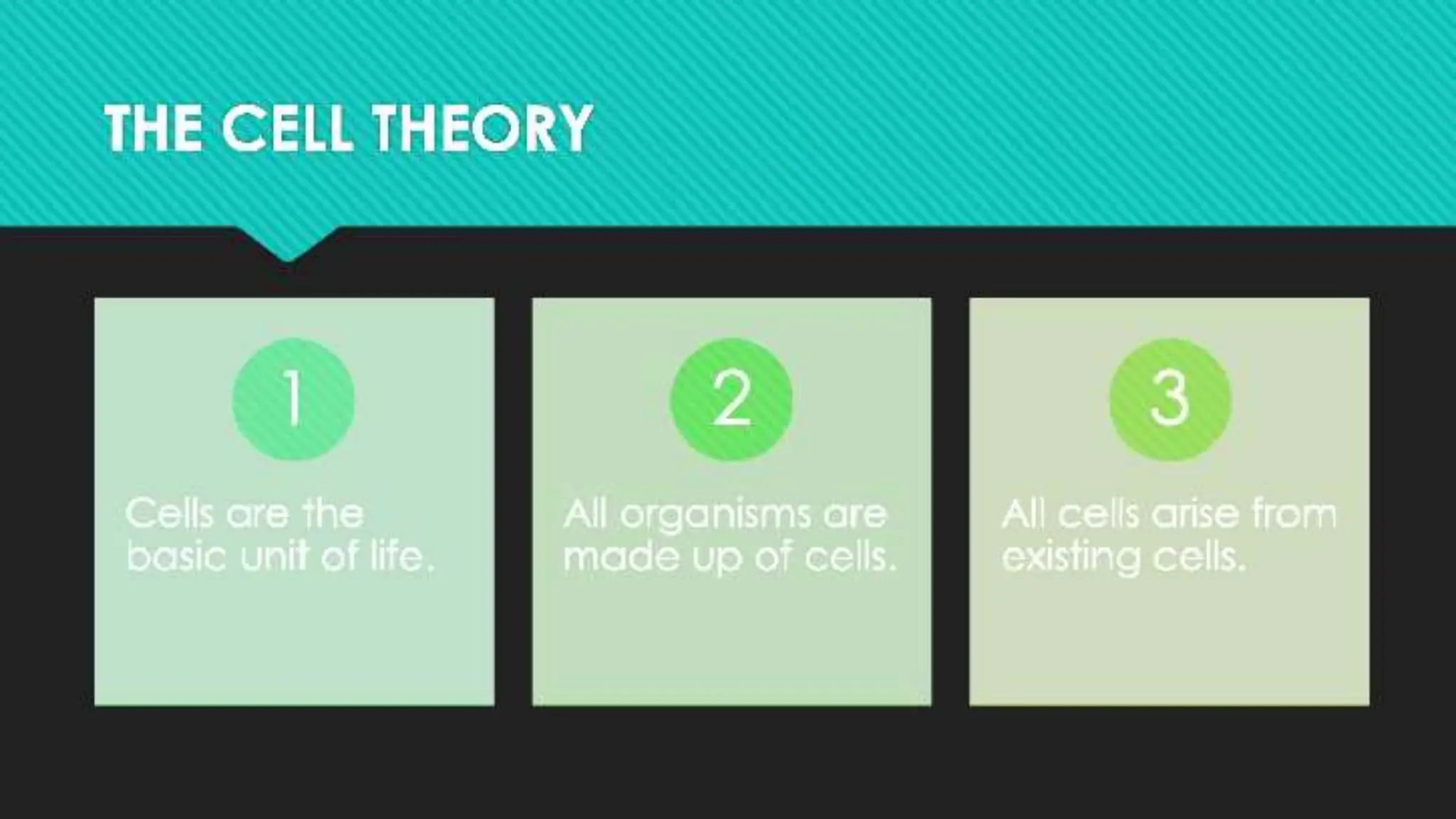 Cell theory how does the cell came from? nd what are the different ...