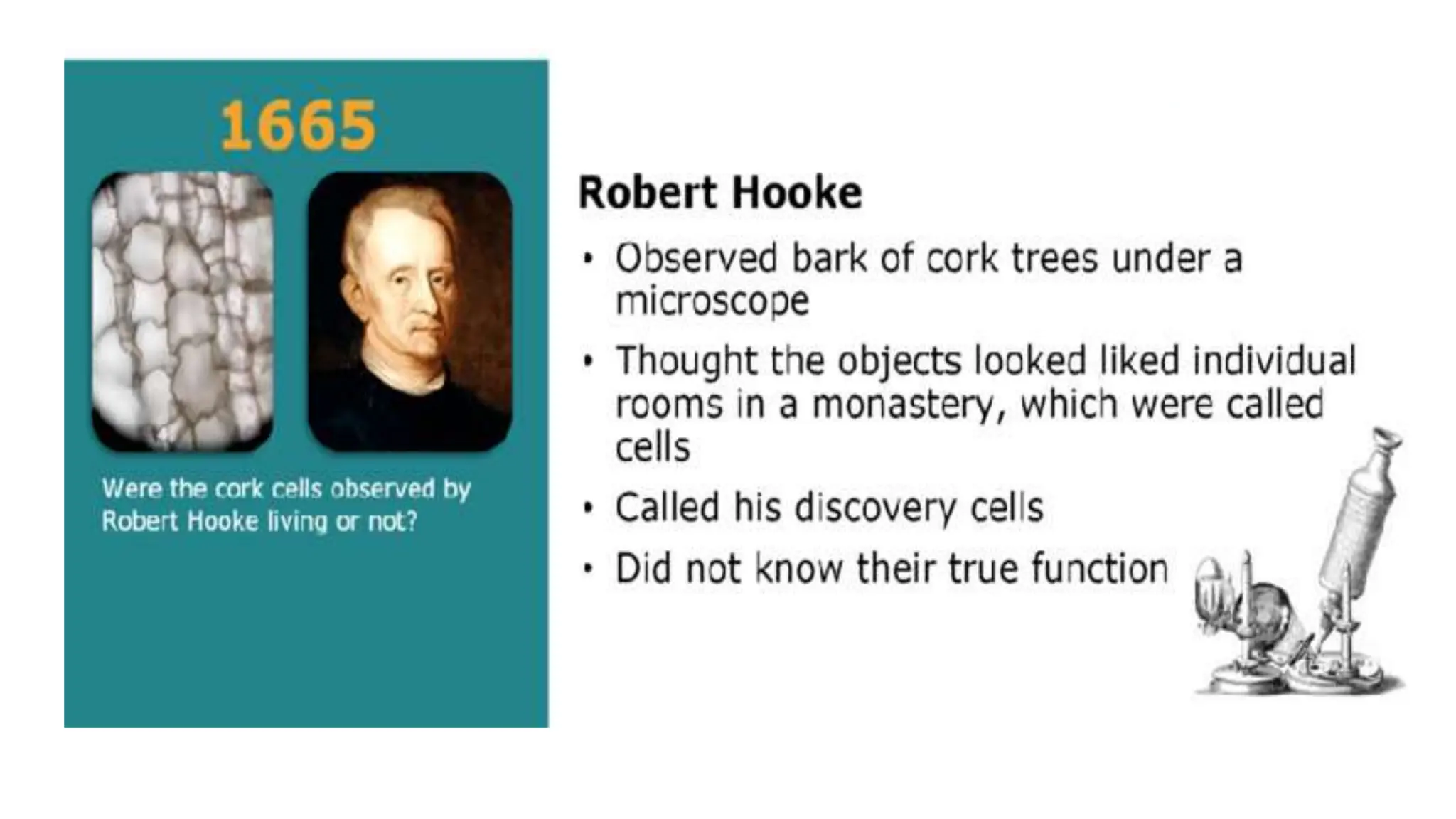 Cell theory how does the cell came from? nd what are the different ...