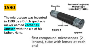 Cell theory how does the cell came from? nd what are the different ...