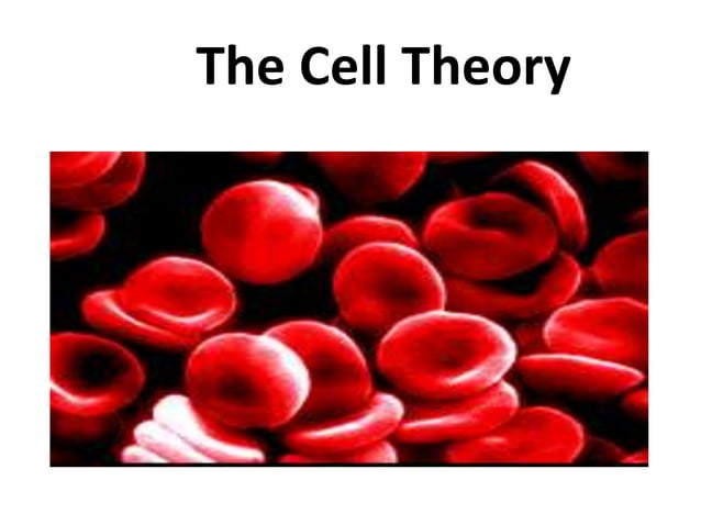 Cell theory, fundamental scientific theory of biology according to ...