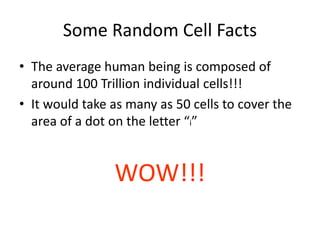 Cell theory, fundamental scientific theory of biology according to ...