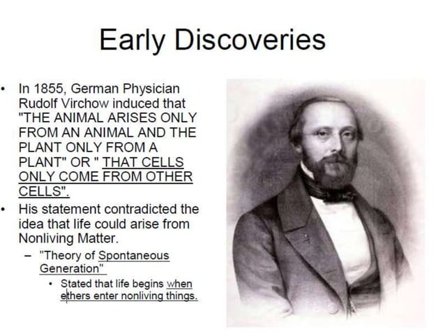 Cell theory, fundamental scientific theory of biology according to ...