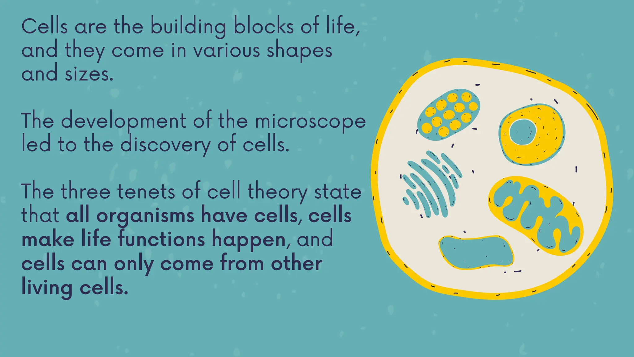 CELL THEORY AND TYPES OF CELL PROKARYOTIC AND EUKARYOTIC CELL.pdf