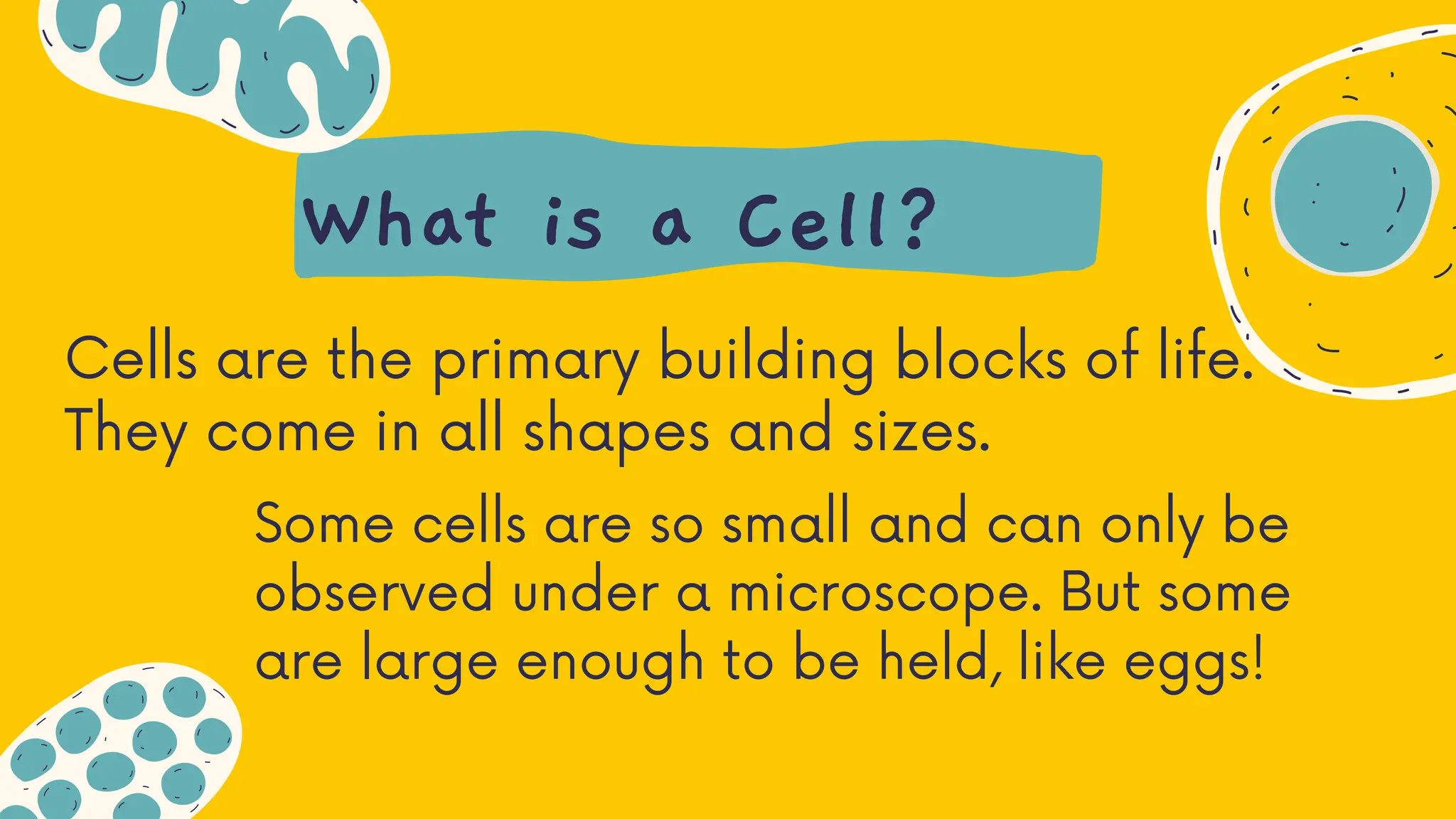 CELL THEORY AND TYPES OF CELL PROKARYOTIC AND EUKARYOTIC CELL.pdf
