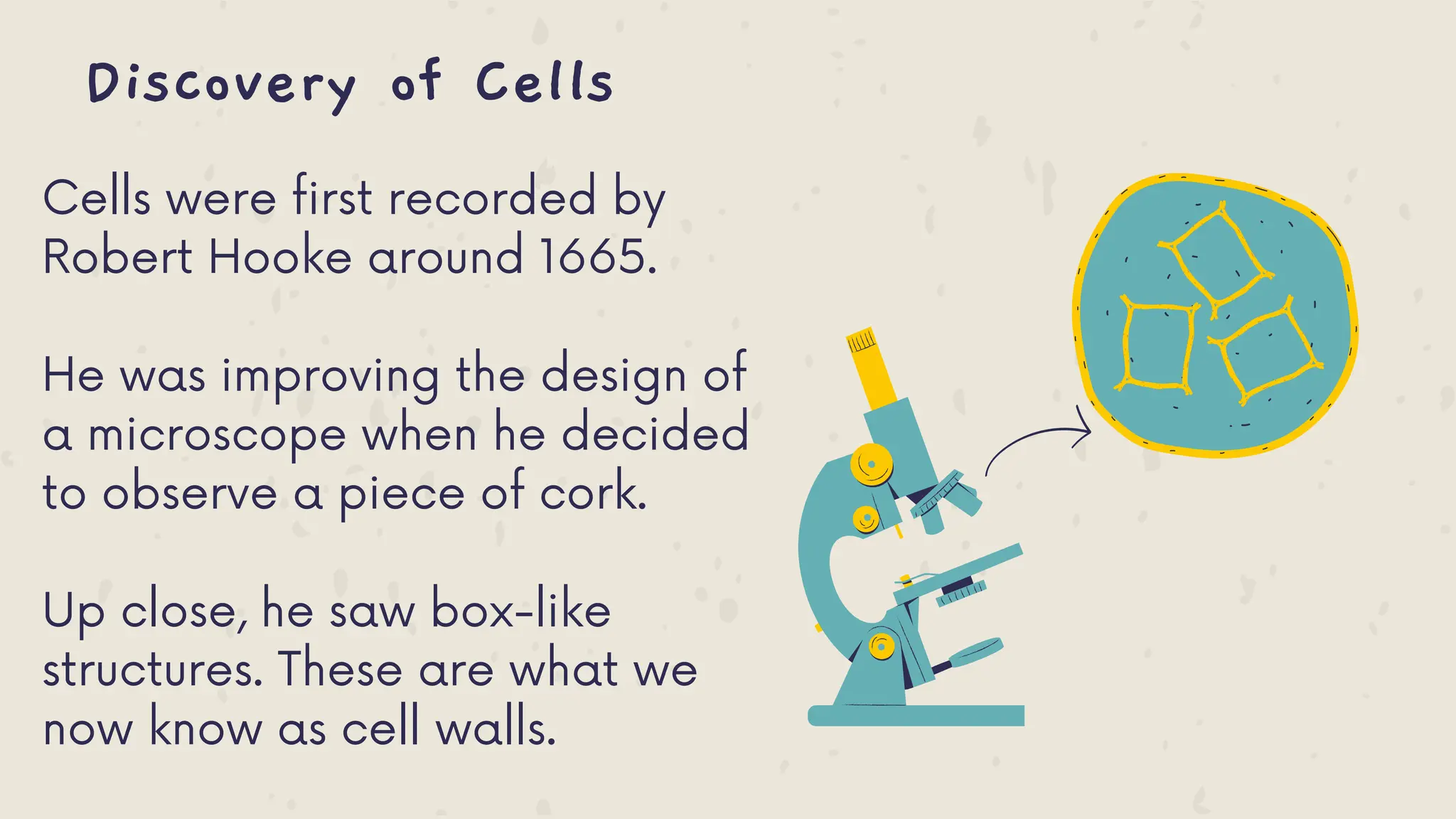 CELL THEORY AND TYPES OF CELL PROKARYOTIC AND EUKARYOTIC CELL.pdf