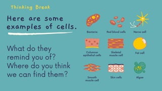 CELL THEORY AND TYPES OF CELL PROKARYOTIC AND EUKARYOTIC CELL.pdf