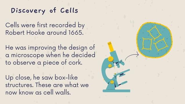 CELL THEORY AND TYPES OF CELL PROKARYOTIC AND EUKARYOTIC CELL.pdf