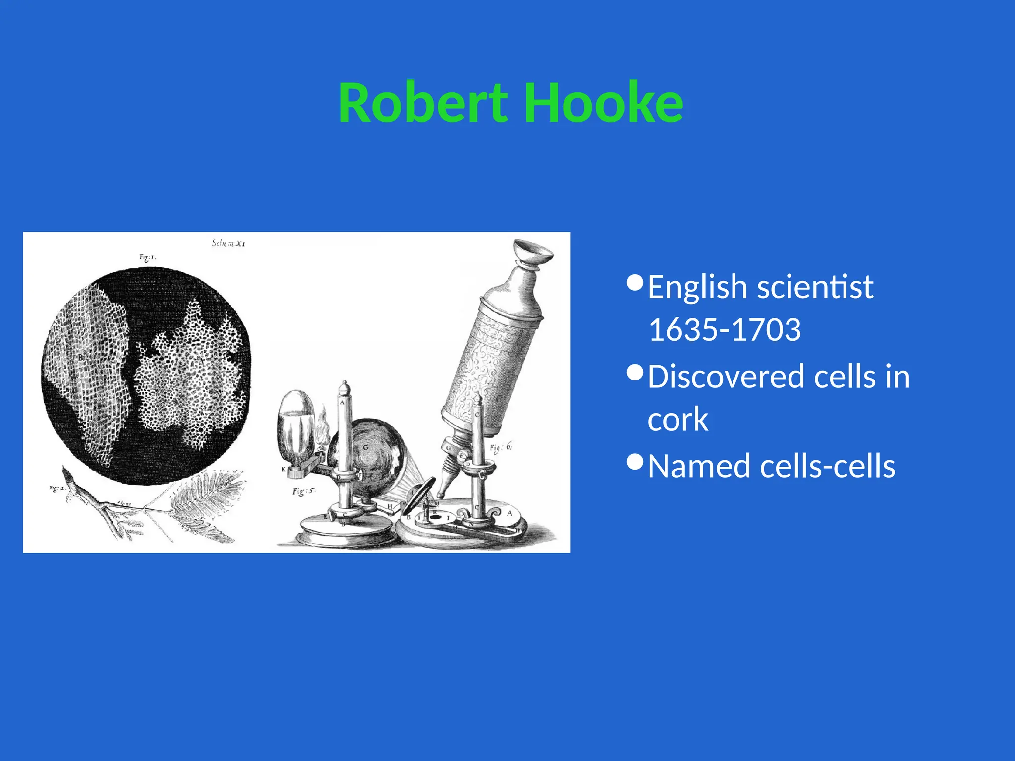 Cell Theory. History and Developmentpptx | PPTX