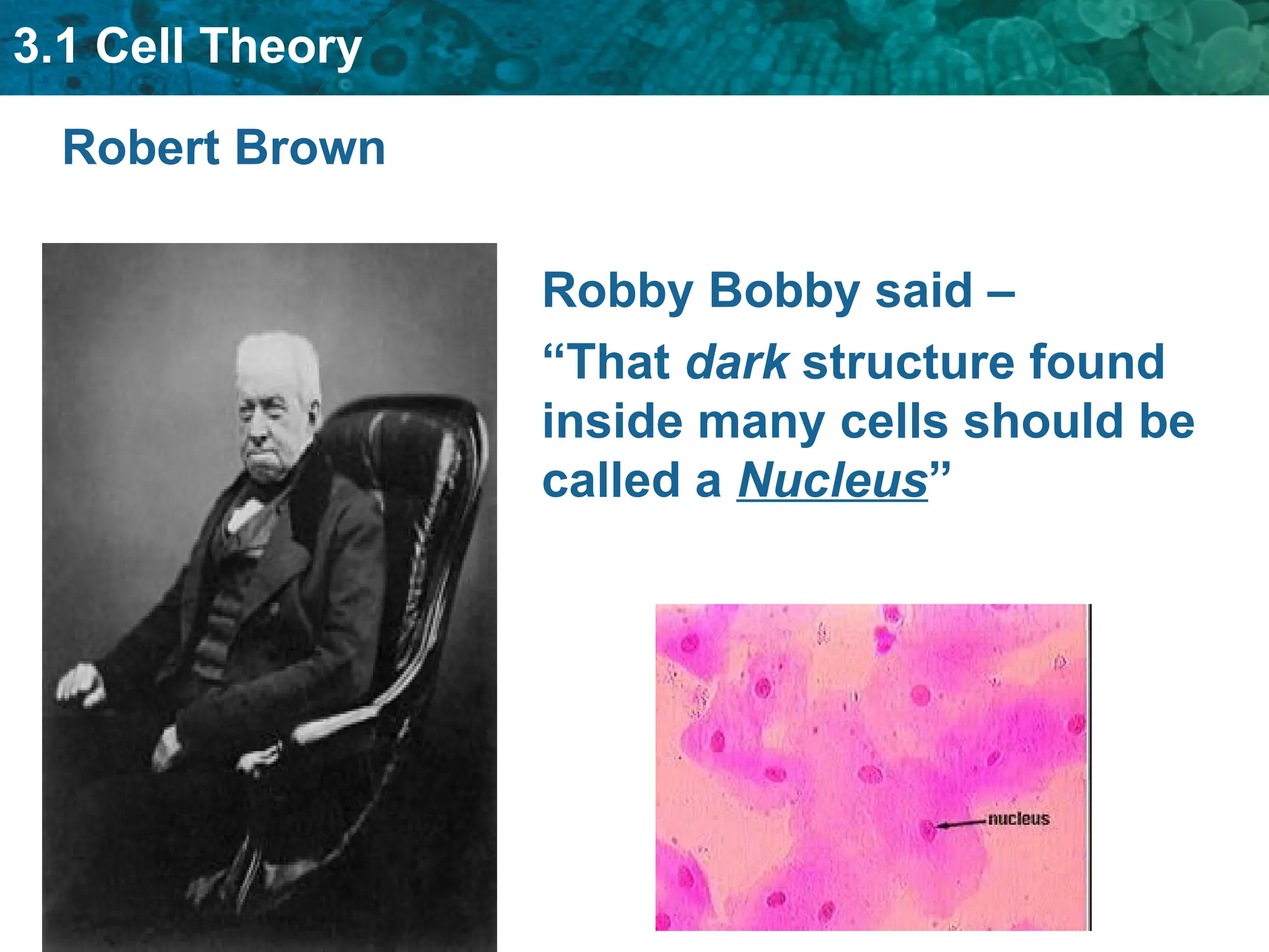 cell theory.pptcell theory.pptcell theory.pptcell theory.ppt