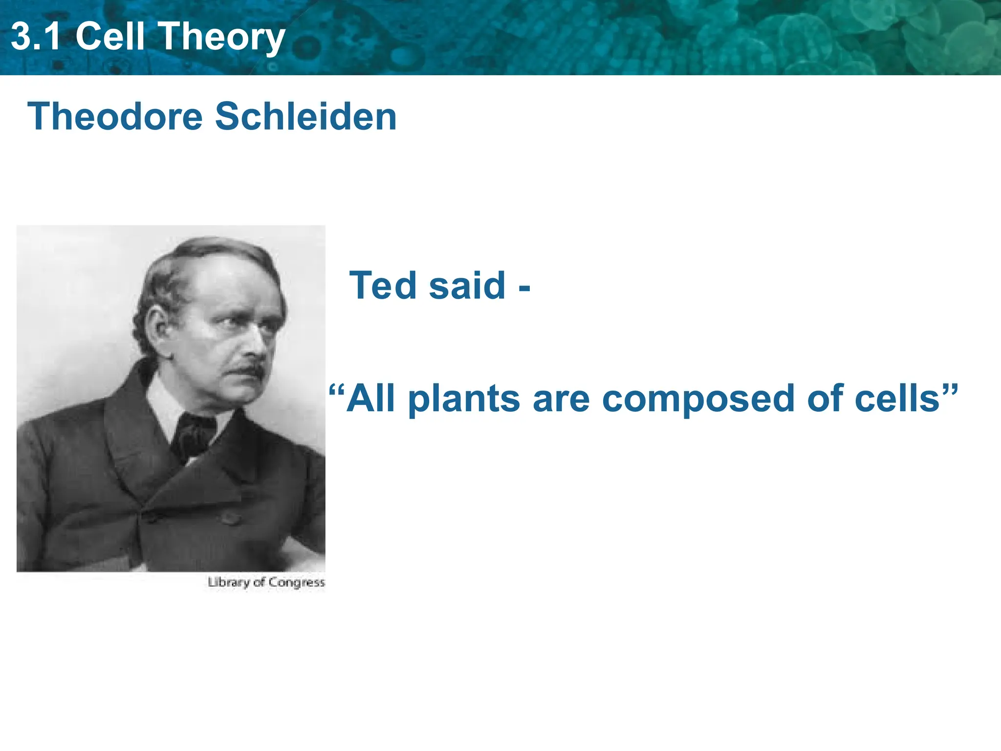 cell theory.pptcell theory.pptcell theory.pptcell theory.ppt
