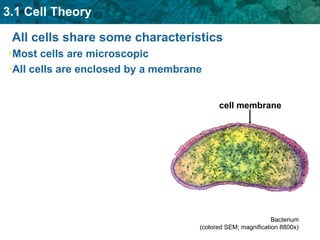 cell theory.pptcell theory.pptcell theory.pptcell theory.ppt