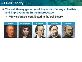 cell theory.pptcell theory.pptcell theory.pptcell theory.ppt
