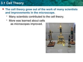 cell theory.pptcell theory.pptcell theory.pptcell theory.ppt