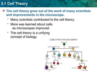 cell theory.pptcell theory.pptcell theory.pptcell theory.ppt