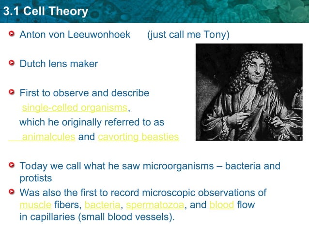 cell theory.pptcell theory.pptcell theory.pptcell theory.ppt