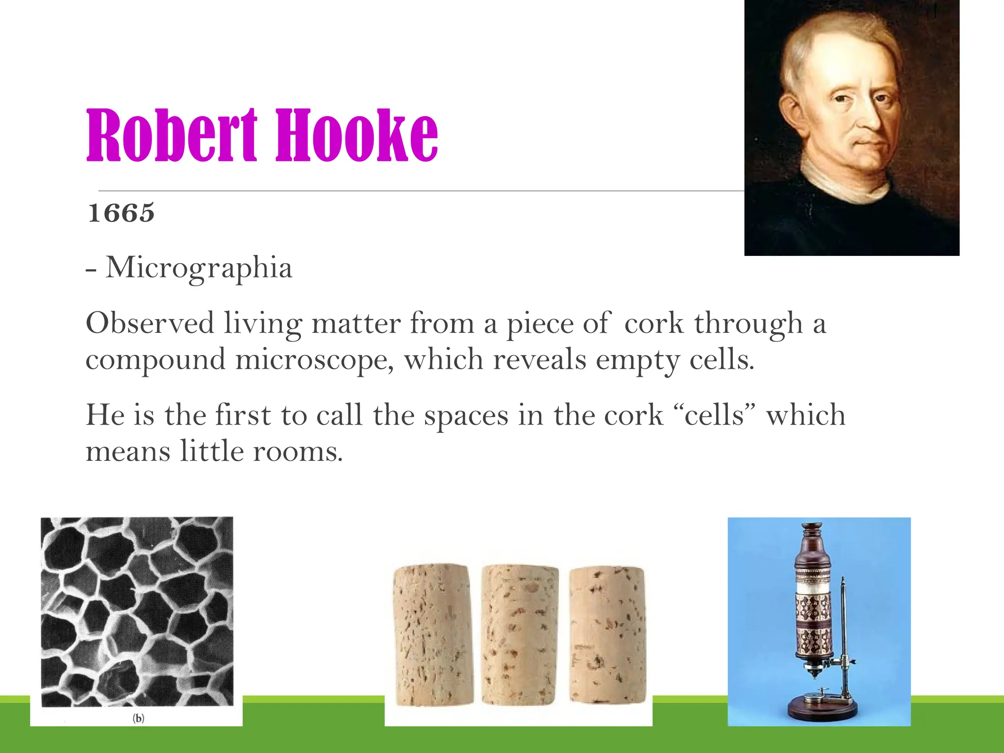 Cell Theory- SENIOR HIGH SCHOOL- BIOLOGY 1.ppt