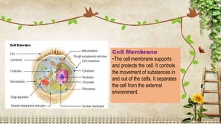 Cell Theory - Copy.pptx