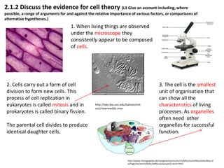 Cell theory | PPTX