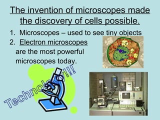Cell theory | PPT